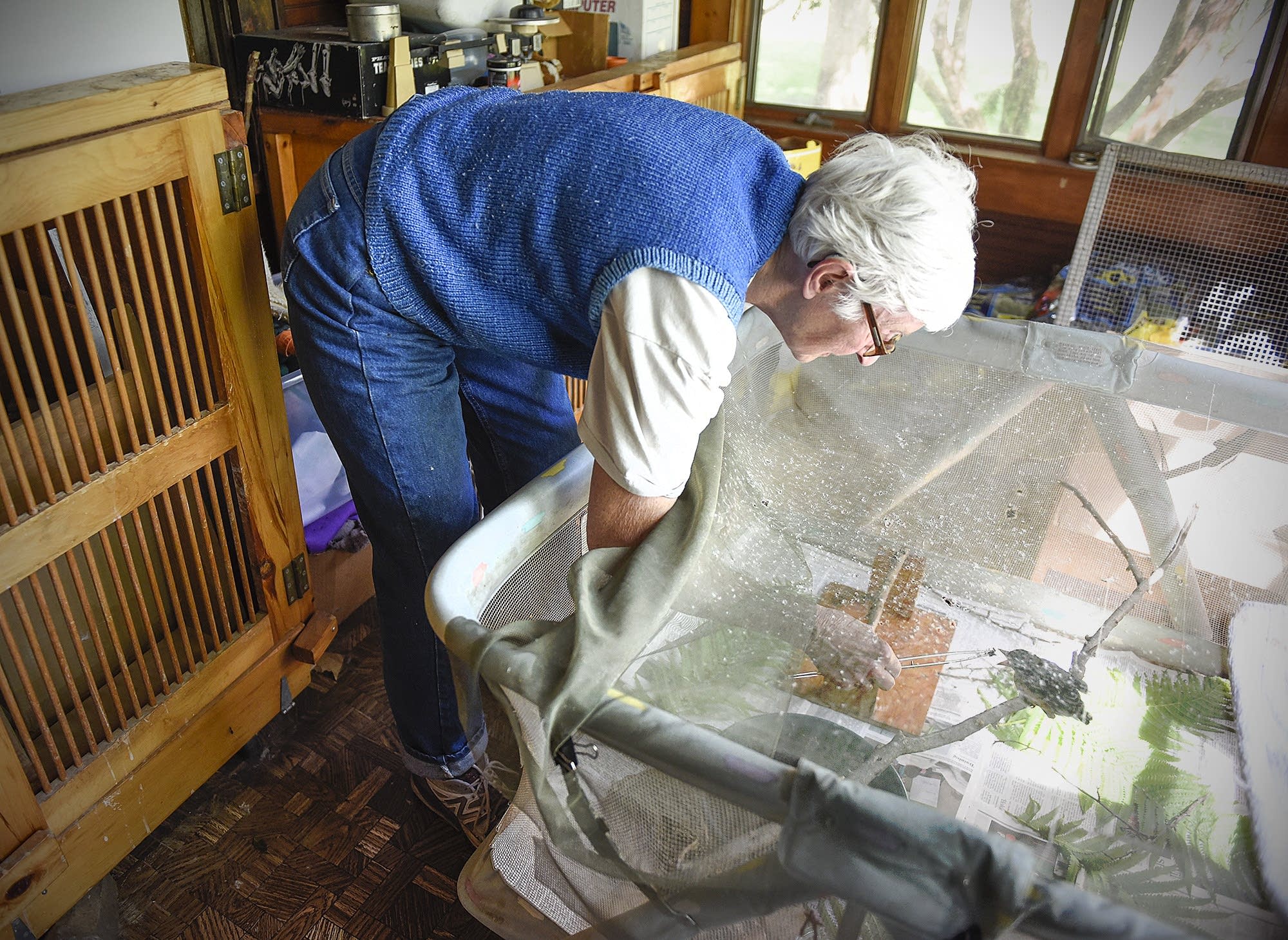 The Untold Story of the Peck Farm in Rockville, Preserving the natural ...